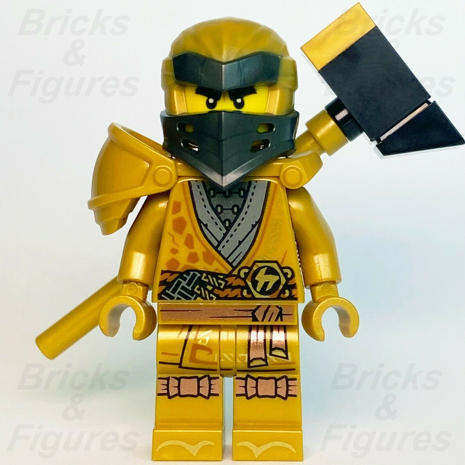 Lego Ninjago Rebooted Cole
